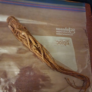 Master Root Oil - Etsy