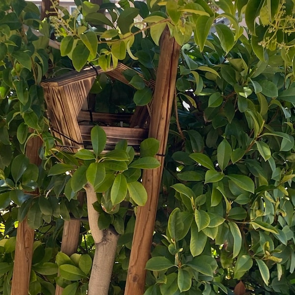 Dove Nesting Box, Large Nesting Box, Dove House, Torched Finish Nesting ...