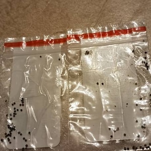 20pcs Hosta Plantaginea Fragrant Plantain Seeds Fire and Ice Shade Pink ...