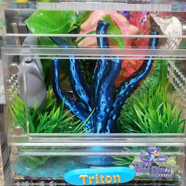 3D Printed Autism Awareness Jumping Spider Fidget Toy - Etsy