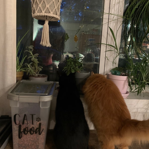 Dog or Cat Food Container Decal | Label Only - Etsy