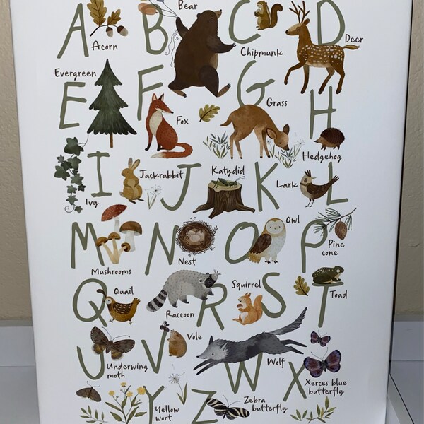 Woodland Animal Alphabet With Watercolor Details, Perfect for a ...