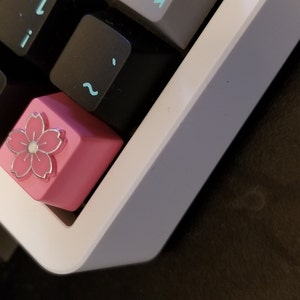 Cherry MX Blue RGB Clicky Switch for Mechanical Keyboard Lot 3 - Etsy