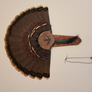 Classic Turkey Fan Mount - Etsy