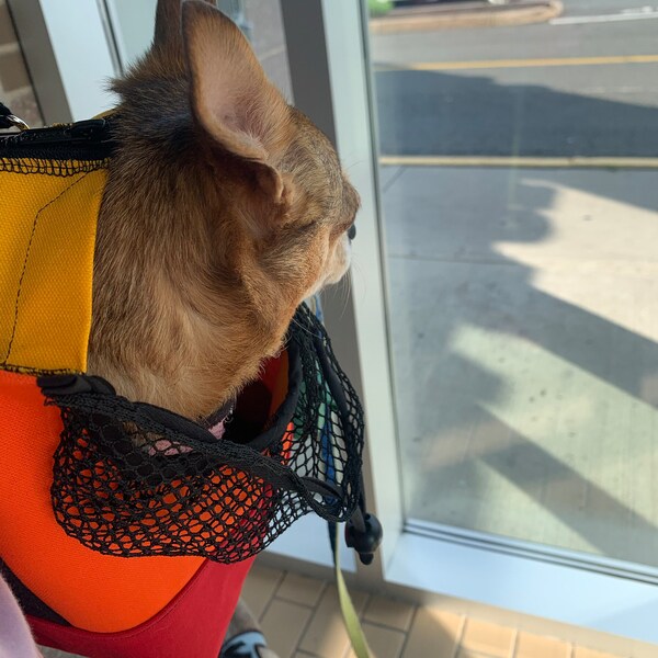 Duplex Dog Carrier, Color Block Canvas Dual Pet Carrier Bag to Carry 2 ...