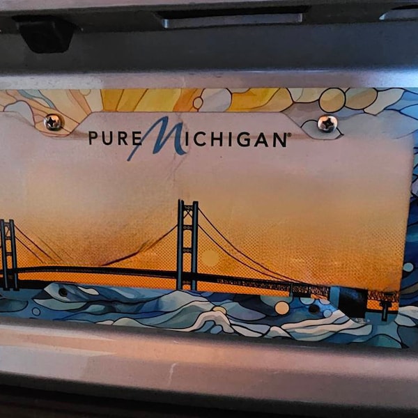 Light Blue Seashells Beachy License Plate Frame Ocean Vanity Car Tag ...