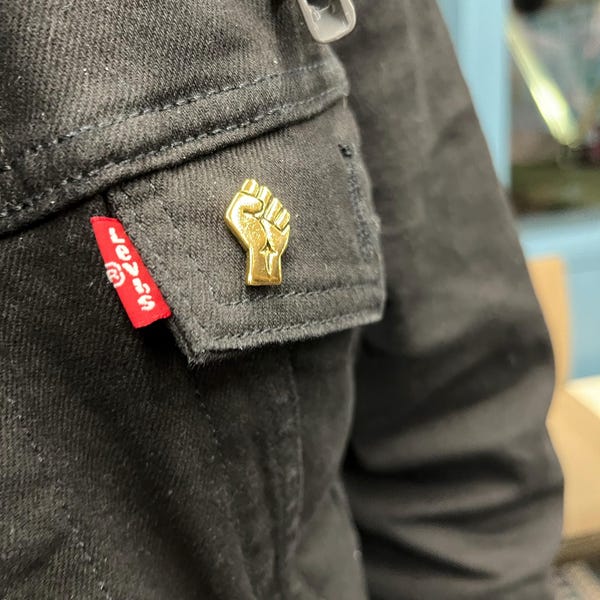 Civil Rights Gold Dipped Pewter Lapel Pin- CC653G- Civil Rights, Black ...