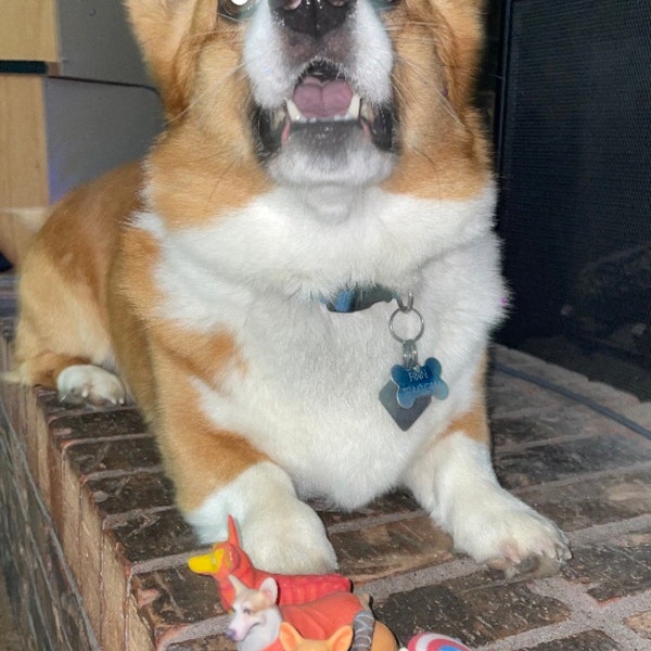 Thorgi the Corgi God of Thunder - Etsy