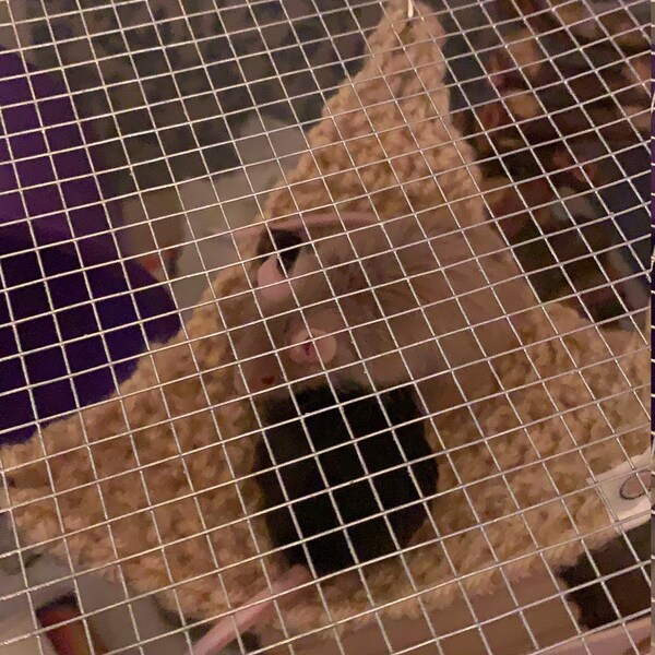 Mouse Hanging Hammock for Small Animals Cage Hammock for Multiple Mice ...