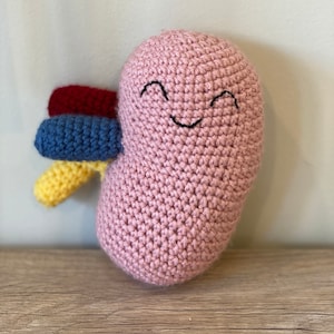 11 Crochet Organs Patterns EBOOK PDF Amigurumi Heart Liver - Etsy