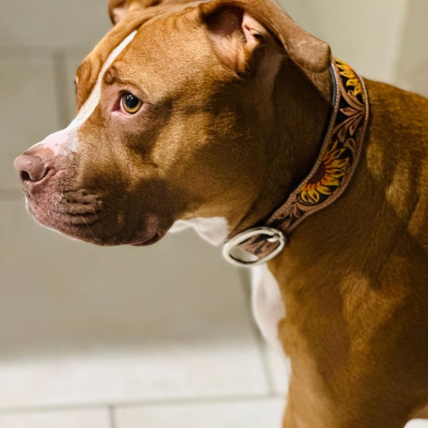 Tooled Leather Wedge Sandals, Western Sandals, Wedding, Prom Shoes - Etsy