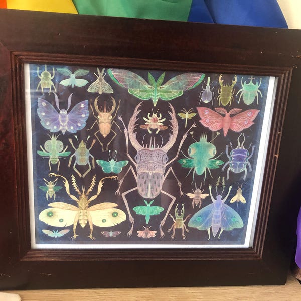 The Natural History of Cryptid Creatures - Picture Book - Etsy