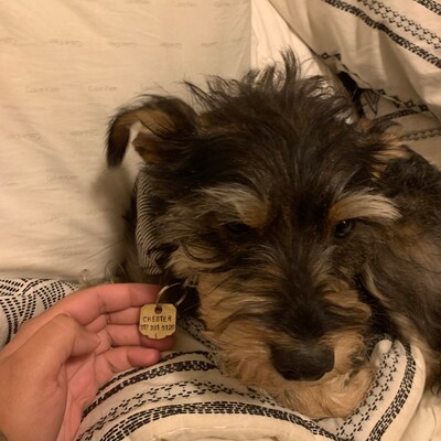 Recycled Key Dog Tag Personalized Pet ID Tag for Your Dog or Cat ...