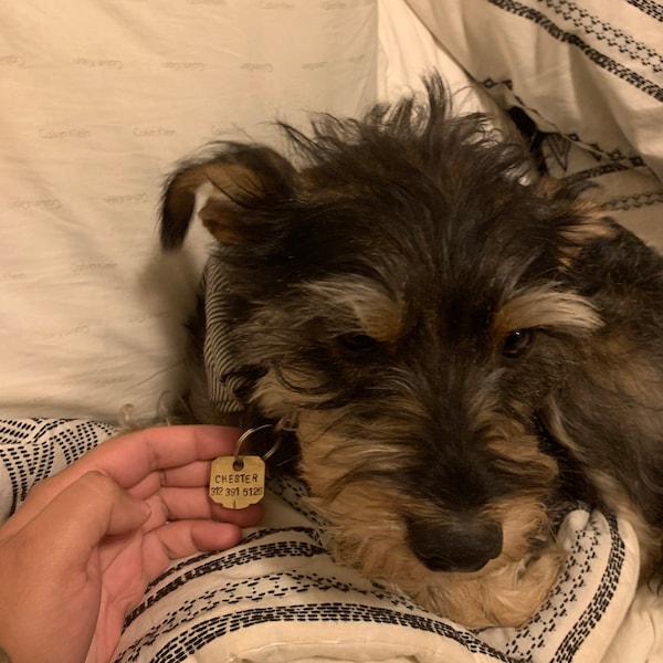 Recycled Key Dog Tag - Personalized Pet ID Tag for Your Dog or Cat ...