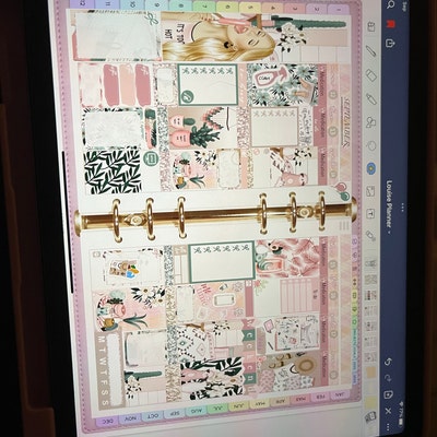 DECEMBER MONTHLY KIT Digital Stickers December Goodnotes - Etsy