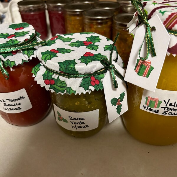 JAM Jar Tops Cloth X 36 GINGHAM Includes Bands. Choose From 11 Colours ...