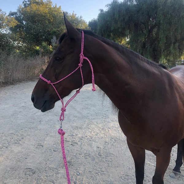 Custom Rope Halter & 12 Foot Lead Rope With Snap, Yacht Rope Halter ...