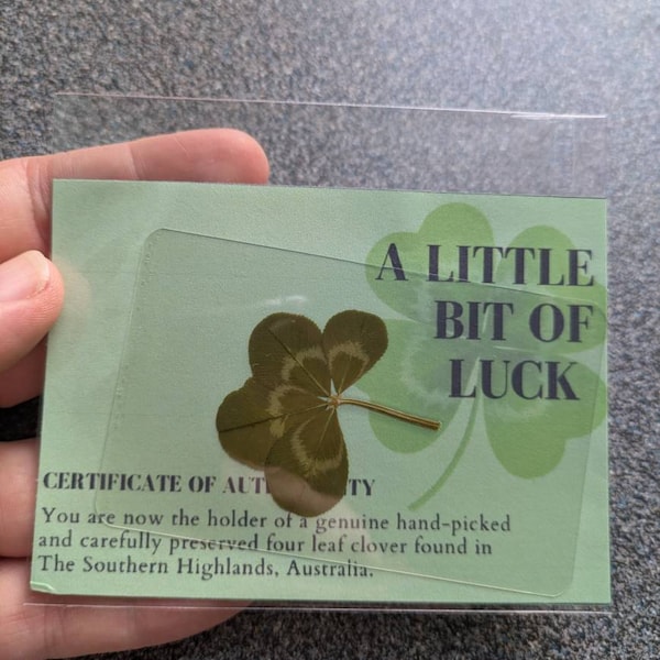 Genuine Five Leaf Clover | Shamrock 5 Leaf Clover | Wedding Favours ...