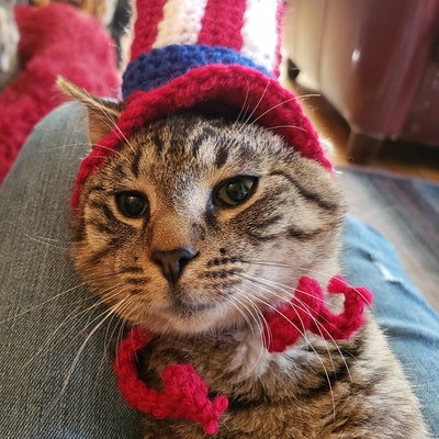 Uncle Sam Hat for Cats, 4th of July Cat Accessory, Independence Day ...