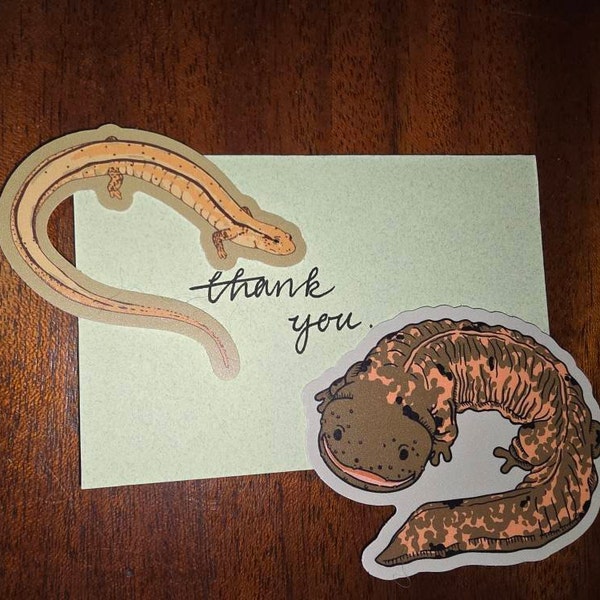 Eastern Hellbender Salamander Vinyl Dye-cut Sticker for Water Bottle ...