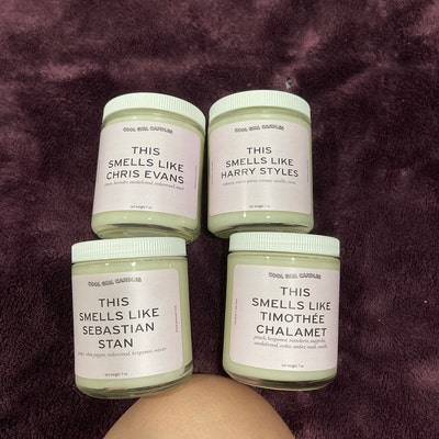 This Smells Like Sebastian Stan Candle Pop Culture Candles Celebrity ...