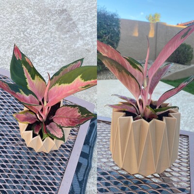 The Estrella Planter Drainage Hole and Tray Modern Indoor Plant Pot 3D ...