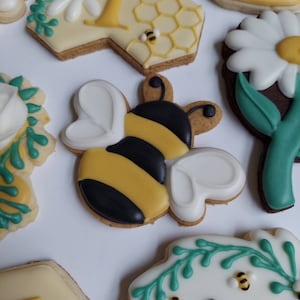 Golden Doodle Bichon Lab Frenchie/boston Terrior Yorkie - Etsy