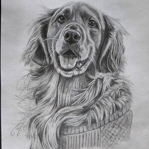 Learn to Draw Pre-outlined Pencil & Paper Drawing Kit W/ - Etsy