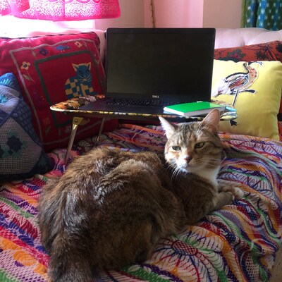Vintage 1950's Red and White Plastic Chef Figural Catsup Container - Etsy