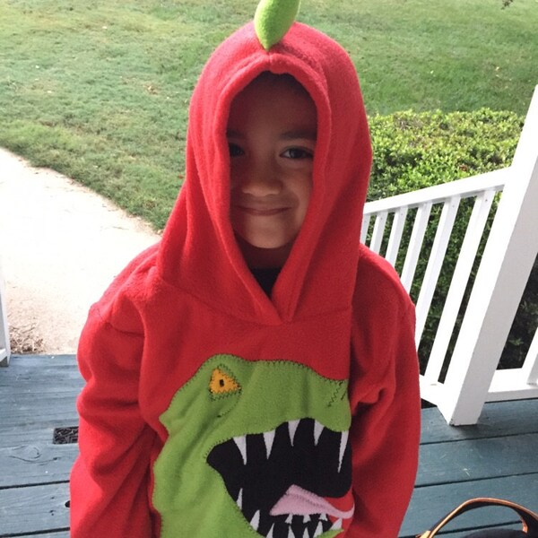 T-rex Dinosaur Spike Hoodie, Custom Dinosaur Spike Hoodie, Spiked Dino ...
