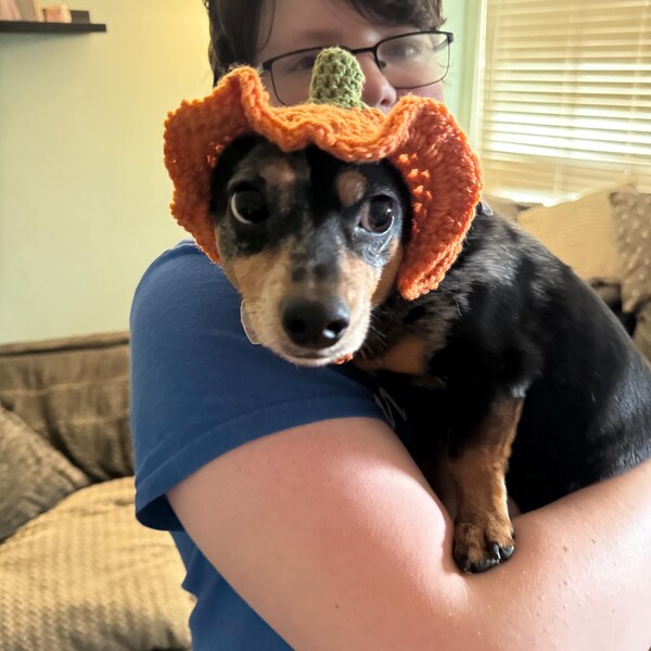 Santa Ruffle Dog Hat Crochet PATTERN - Etsy