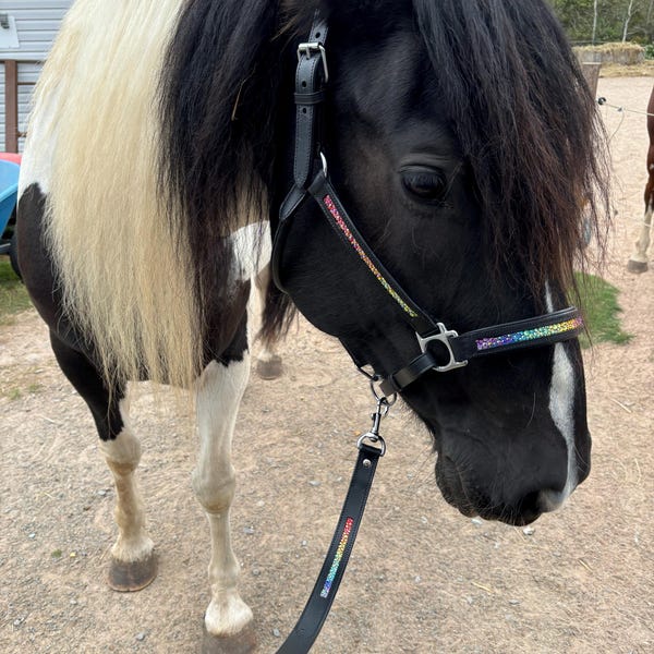 Snap Browband Diy Empty Channel Browband Make Your Own Browband Quick ...