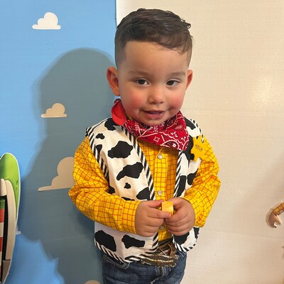 Custom Made to Order Toy Story Woody Inspired Costume Sz 6mo to 8Y - Etsy