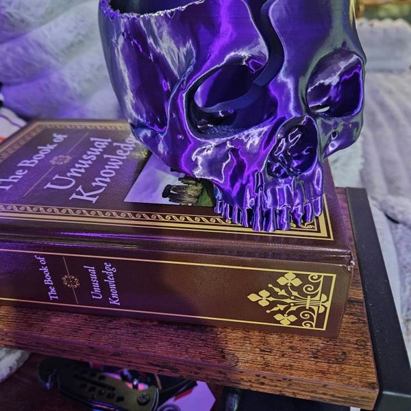 Dragon Book Worm Display Stand - Etsy