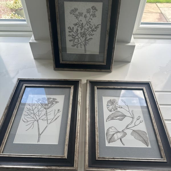 8x10'' Vintage Botanical Prints Set of 8 Botanical Poster Wildflower ...