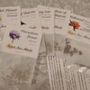 Wingstem Seeds - Etsy Canada