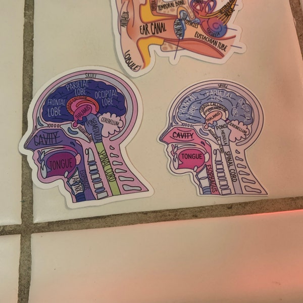 Periodic Table of Elements Vinyl Sticker - Etsy