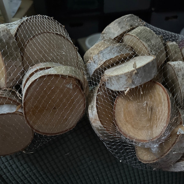 12" Birch Logs - Etsy
