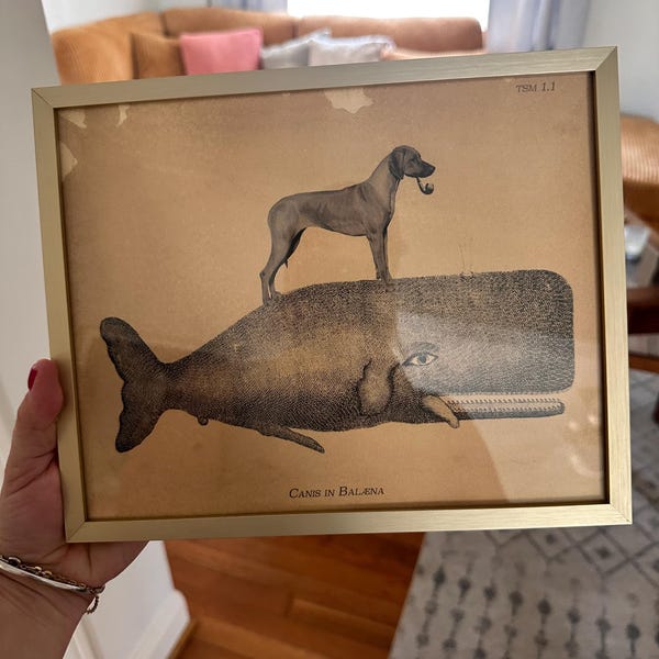 Rhodesian Ridgeback Dog Riding Whale Vintage Collage Print Tea Stained ...