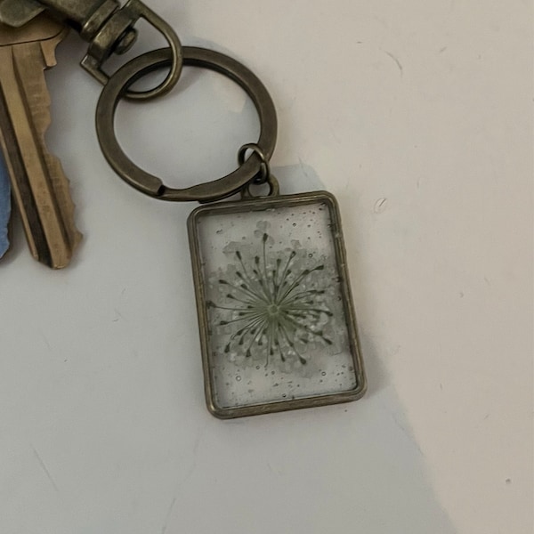Pressed FIVE Leaf Clover Pack (not Perfect Clovers), Real Clovers for ...