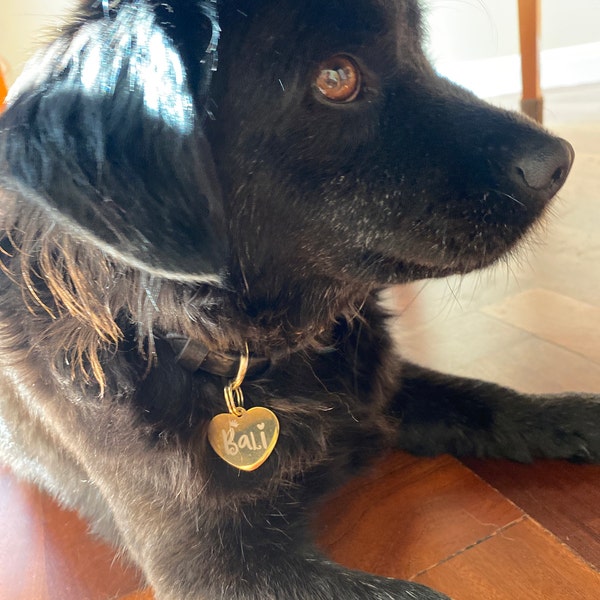 Pet Princess Prince Tags Engraved, Stainless Steel Available in Silver ...