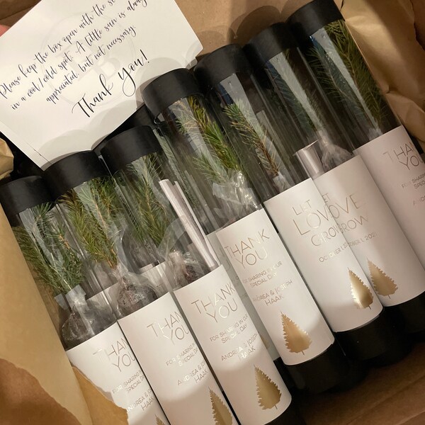 Let Love Grow Wedding Favor | Pine Tree Wedding Favor | Gift Tree ...