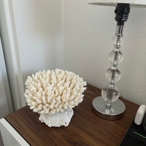 Rubber Ice Cap Miller Rubber Sundries Ice Cap 251 Oval - Etsy