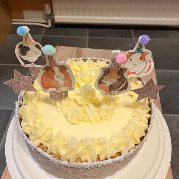 Guinea Pig Cake Toppers - Guinea Pig Cupcake Toppers - Guinea Pig Party ...