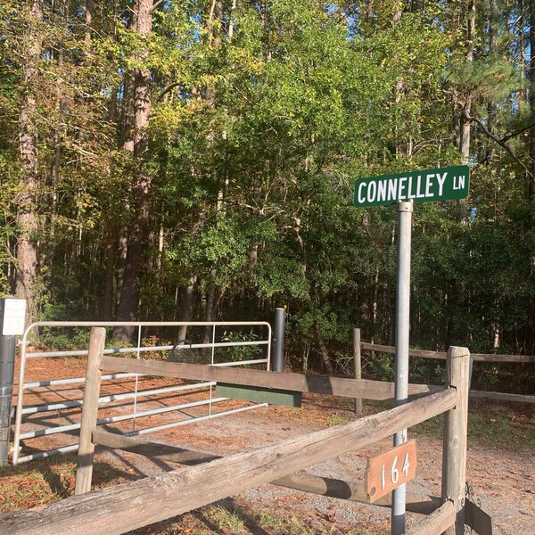 Personalized Street Sign, Name Sign, Road Sign, Street Sign - Etsy