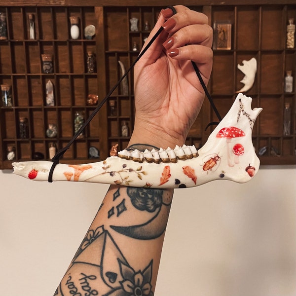 Cottage Core Deer Jawbone Wall Hanging Decor Real Bone Painted Skull ...