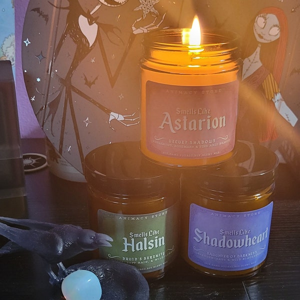 HALSIN Inspired Candle - BG3 - 8 Oz Hand Poured Soy Blend Wax - Nerdy ...