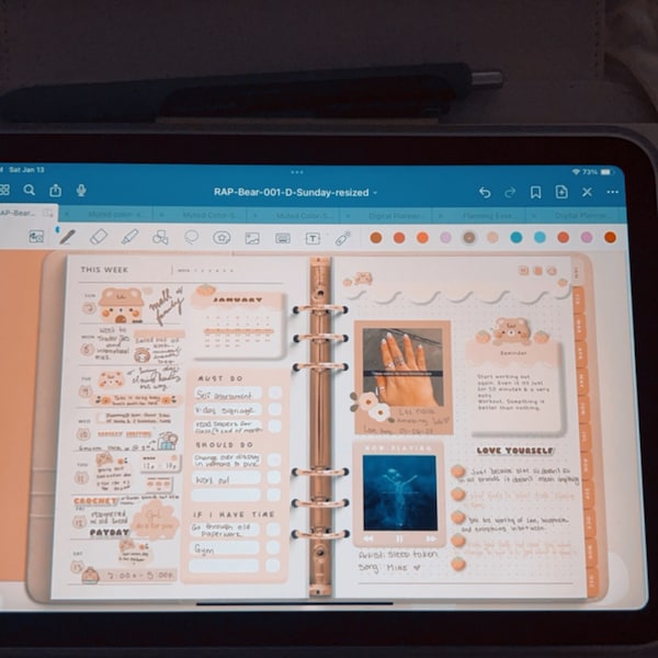 Kawaii Digital Planner Stickers for Goodnotes Planner/ Goodnotes ...