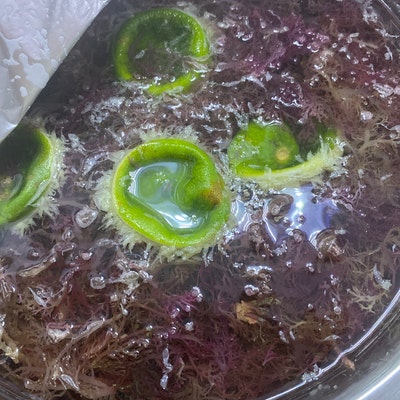 Stinking Toe Powder Hymenaea Courbaril No GMO 100% - Etsy