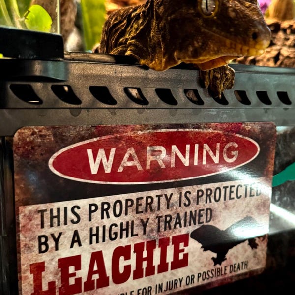Funny Chicken Run Sign Chicken Coop Décor Crazy Chicken Lady Gift Funny ...